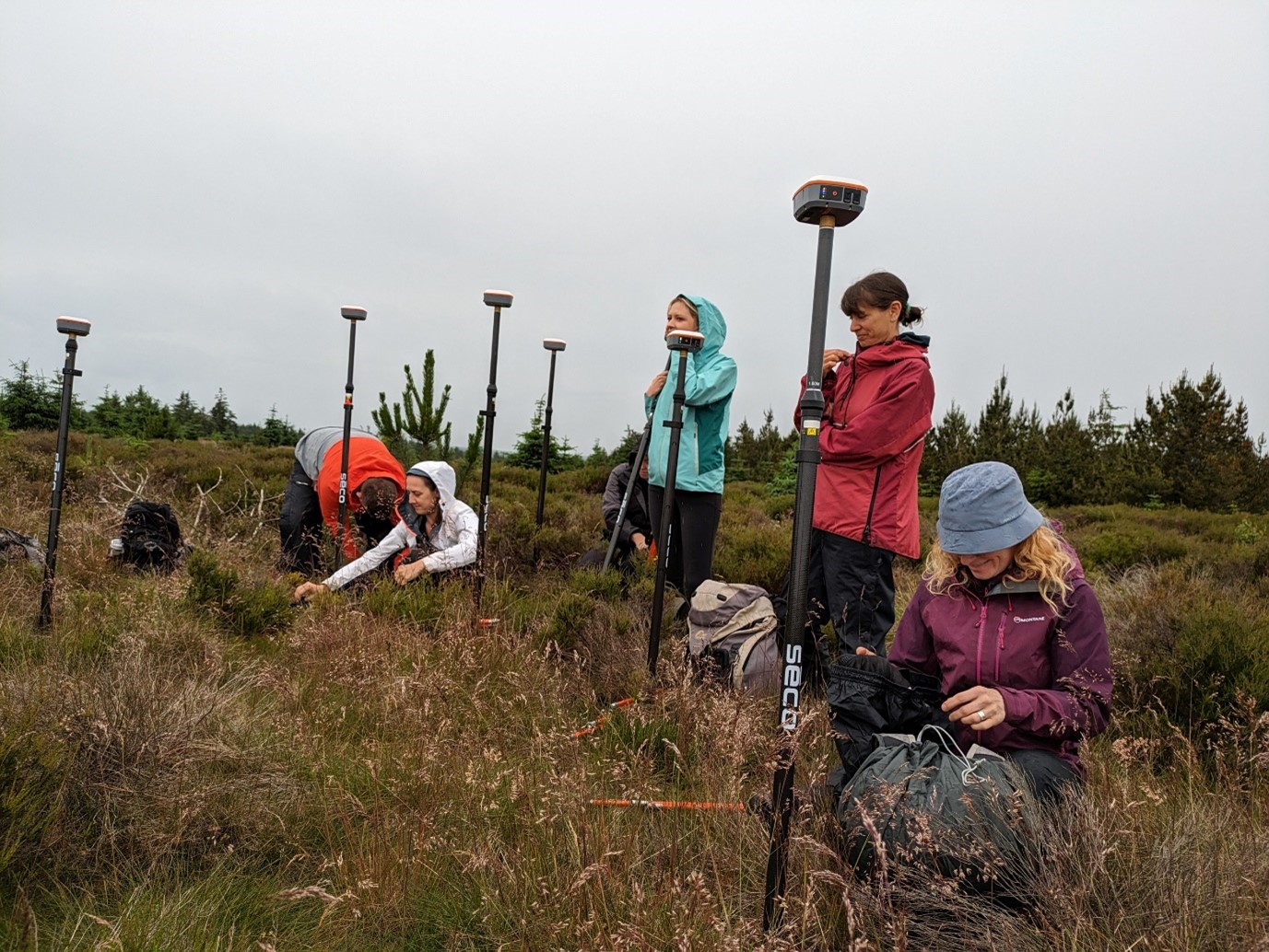 With a lot of help from our friends: assembling an England Peat Map ...