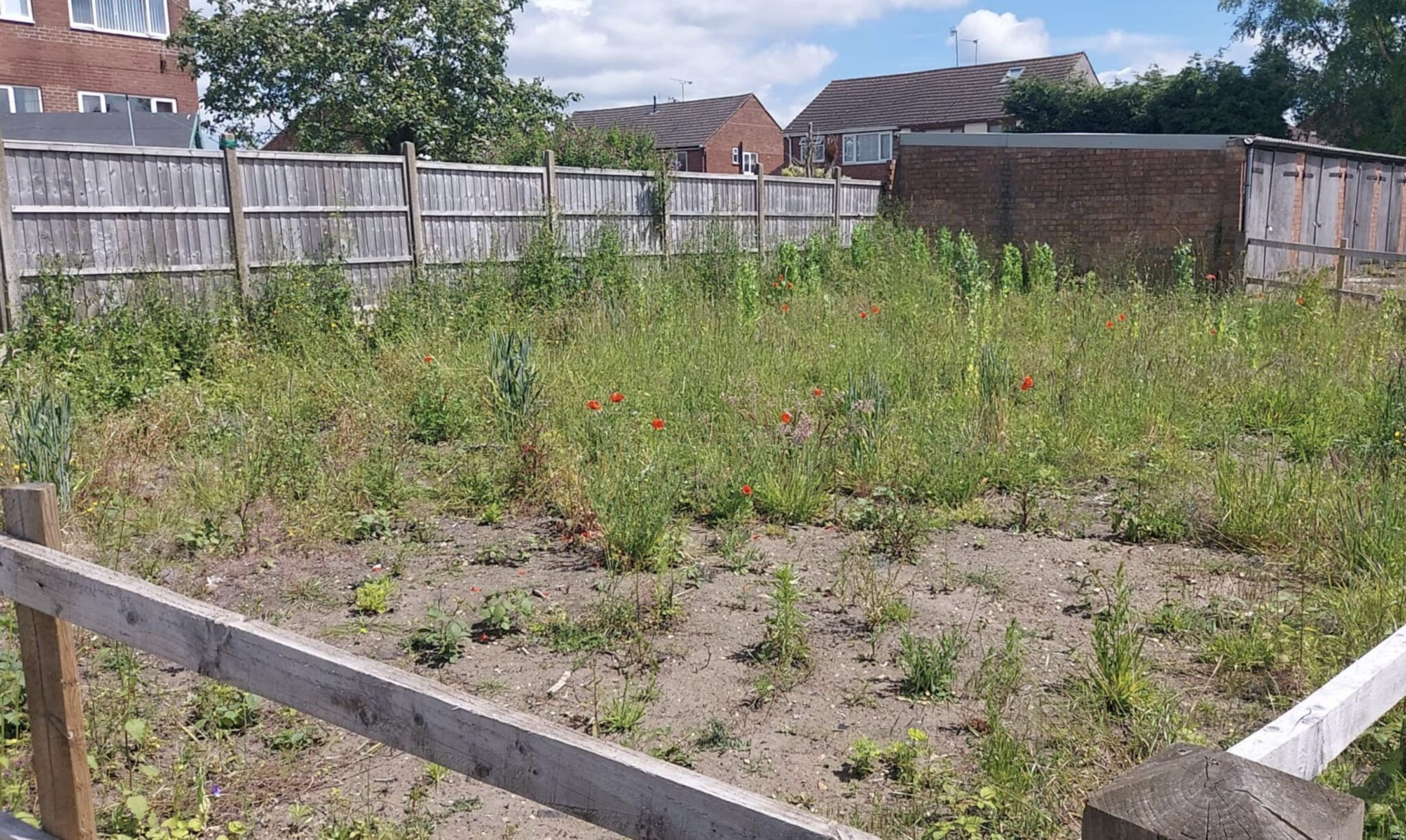 Biodiversity Net Gain – Natural England