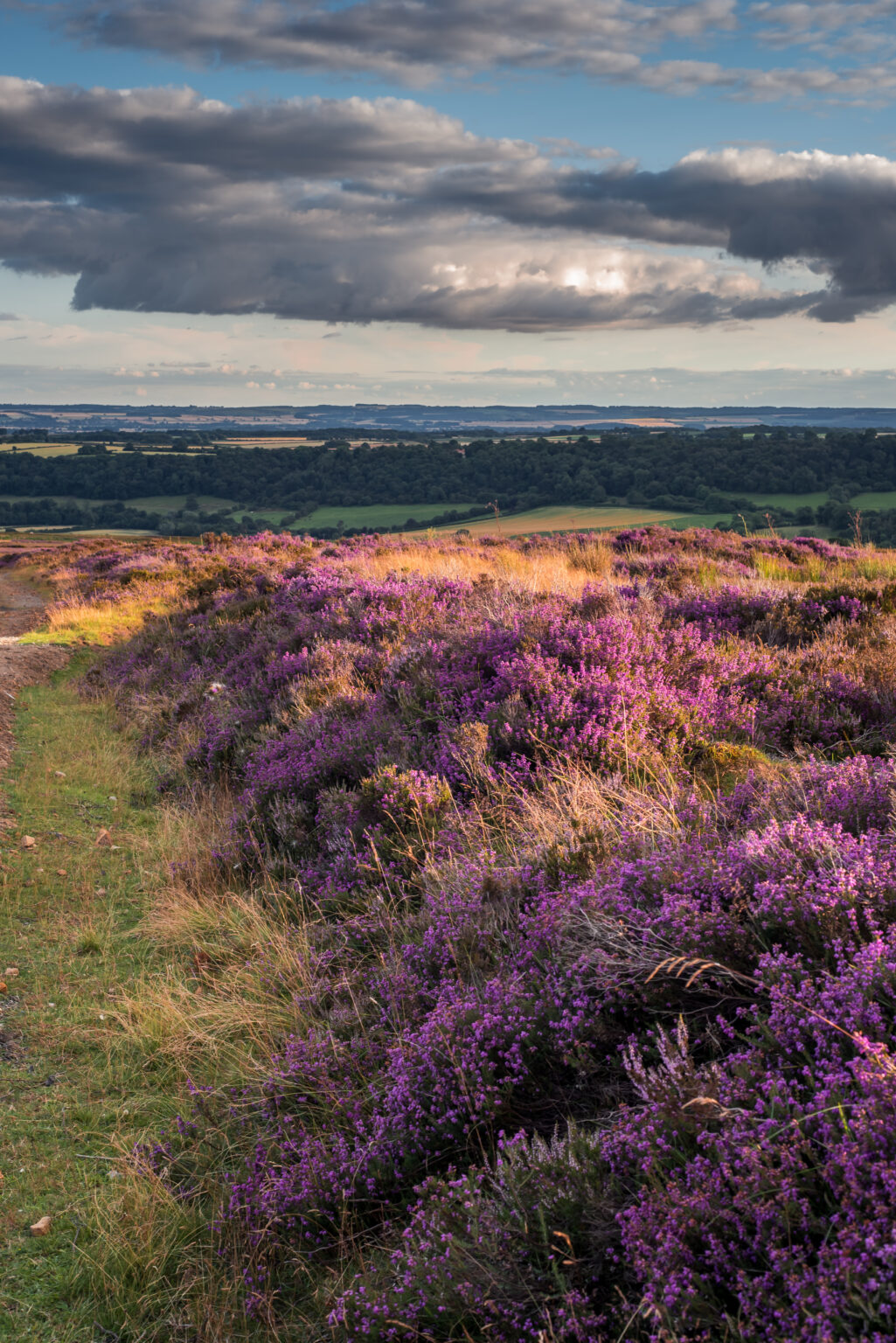 State of Natural Capital Report for England is now published – Natural ...
