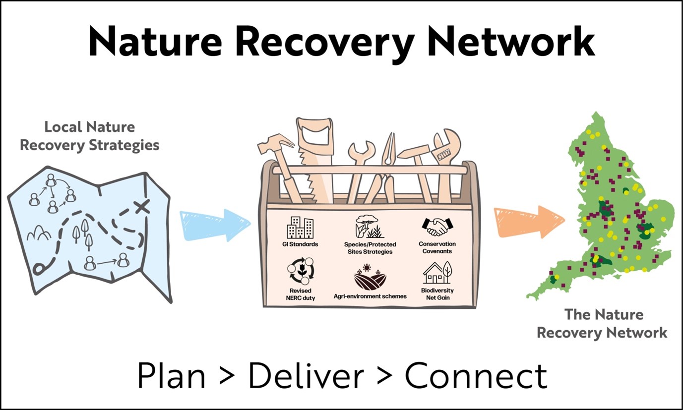 How Natural England is working with partners to improve rural flood ...