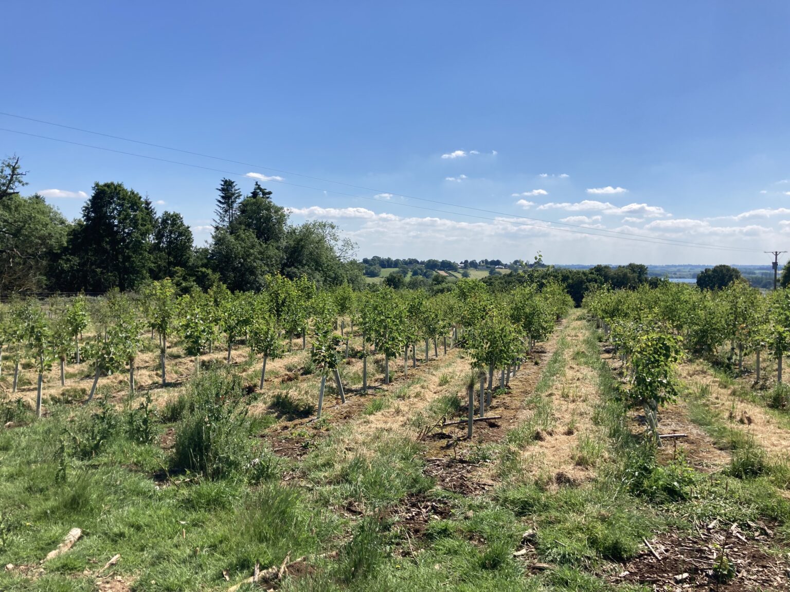 Nature Recovery Network – Natural England