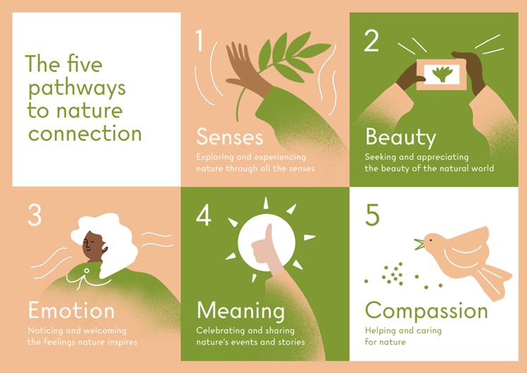 How NE is helping people connect with nature in the West Midlands ...