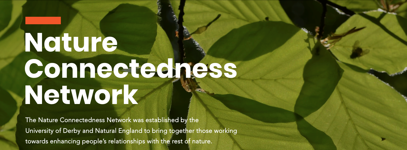 New Nature Connection website brings together policy, practice and ...