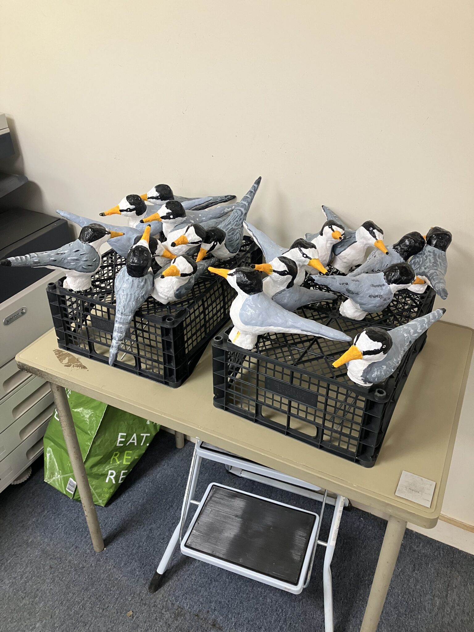 Birds of a Feather: Restoring Habitats for seabirds in the Solent ...