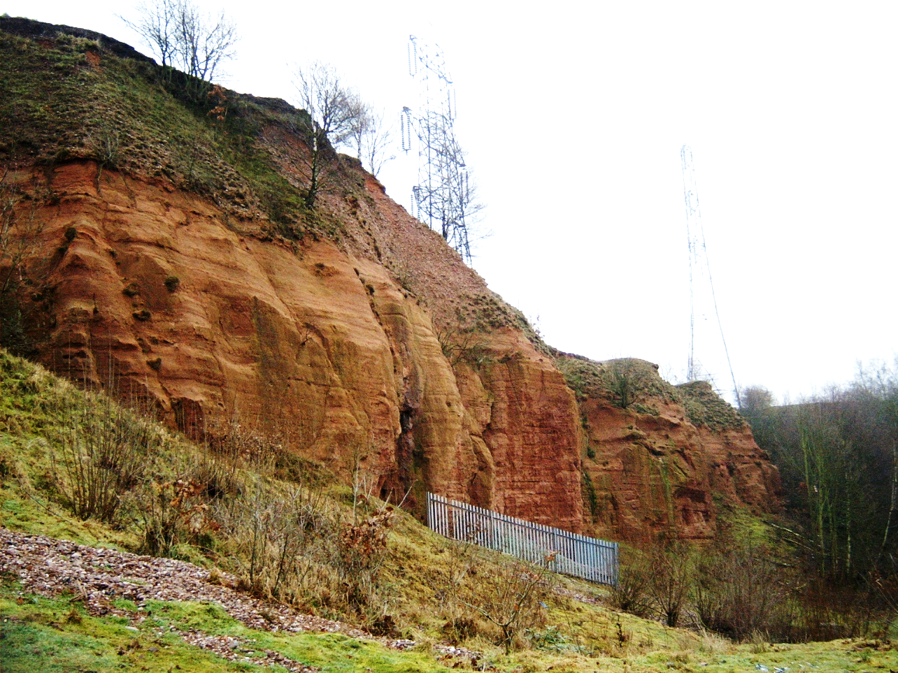 Purple Horizons Nature Recovery Project: Helping a post-industrial ...
