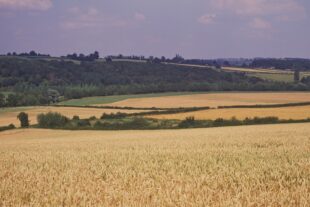 Natural England – News and updates from Natural England