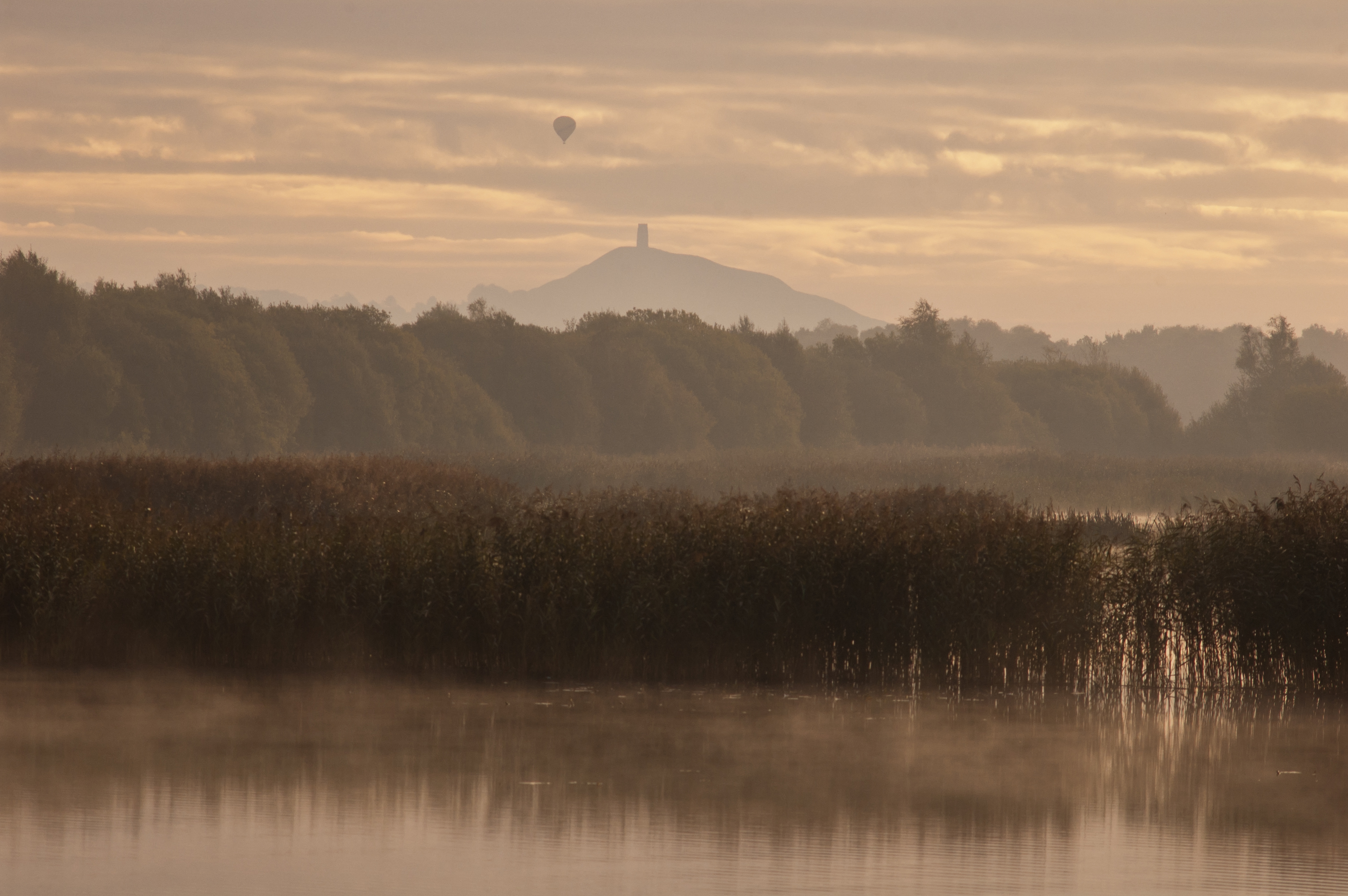 Nature Recovery Projects – next steps for growing collaborative action ...