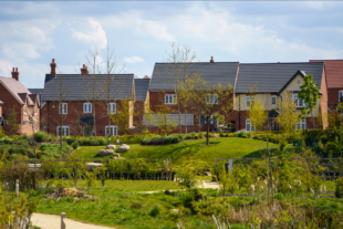 Accelerating Development and Nature Recovery: A Natural England ...