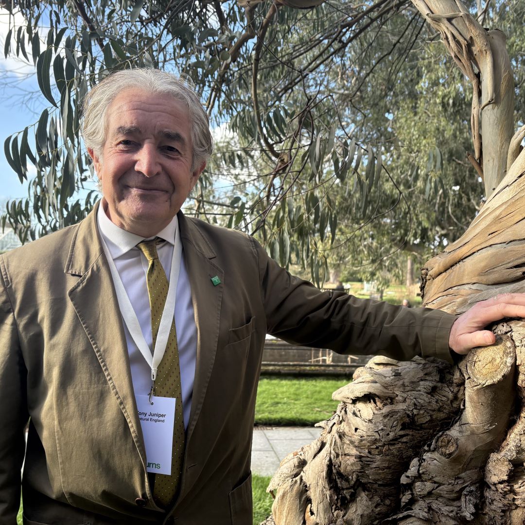 How can Nature-Based Solutions address the climate and Nature crises ...