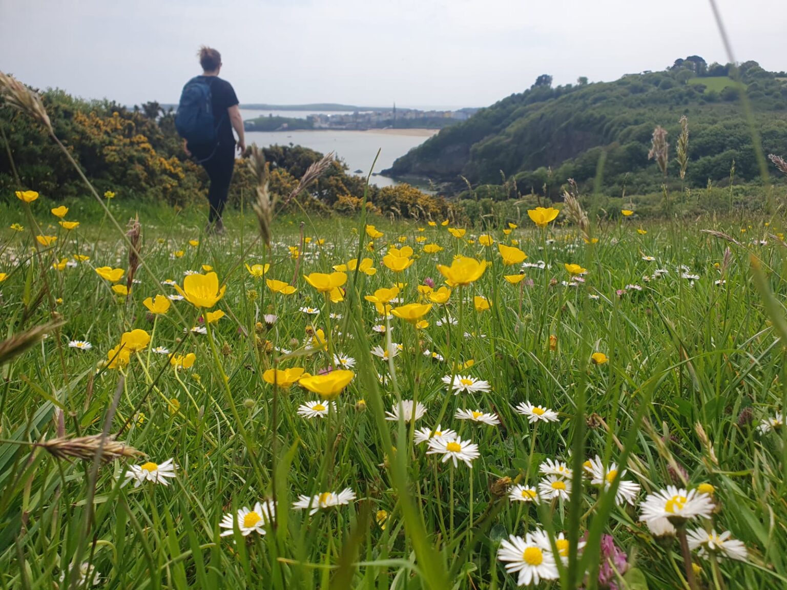 Study launched into relationship between people and nature – Natural ...
