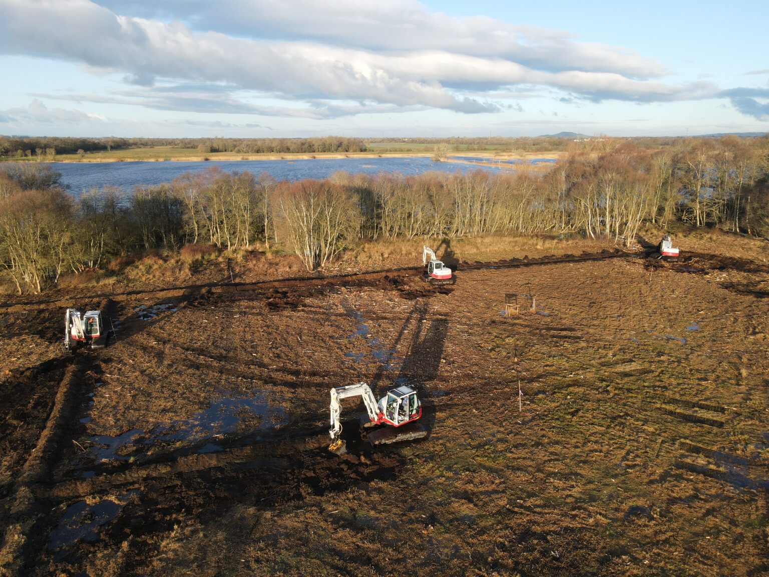 Shapwick Heath Peat Restoration – Bringing Bogs Back to Somerset ...