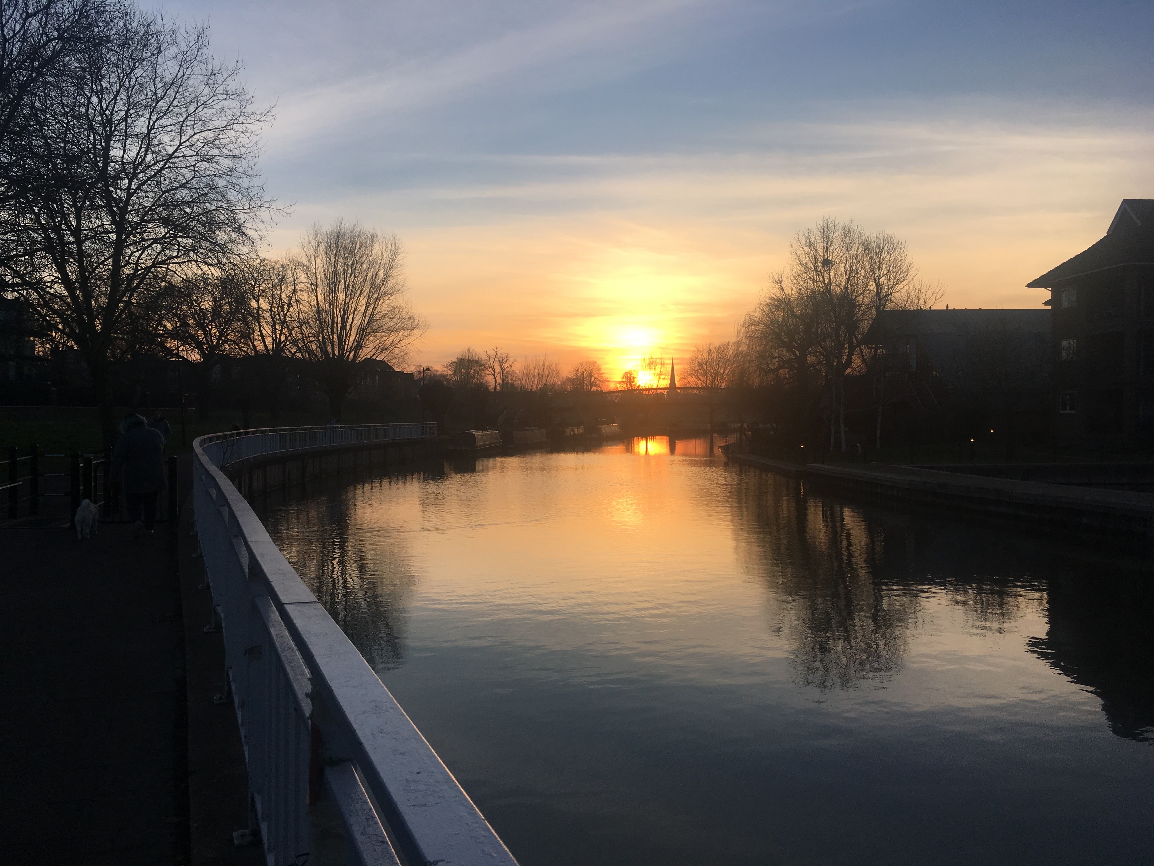 Wild in the City – the Cambridge Nature Network – Natural England