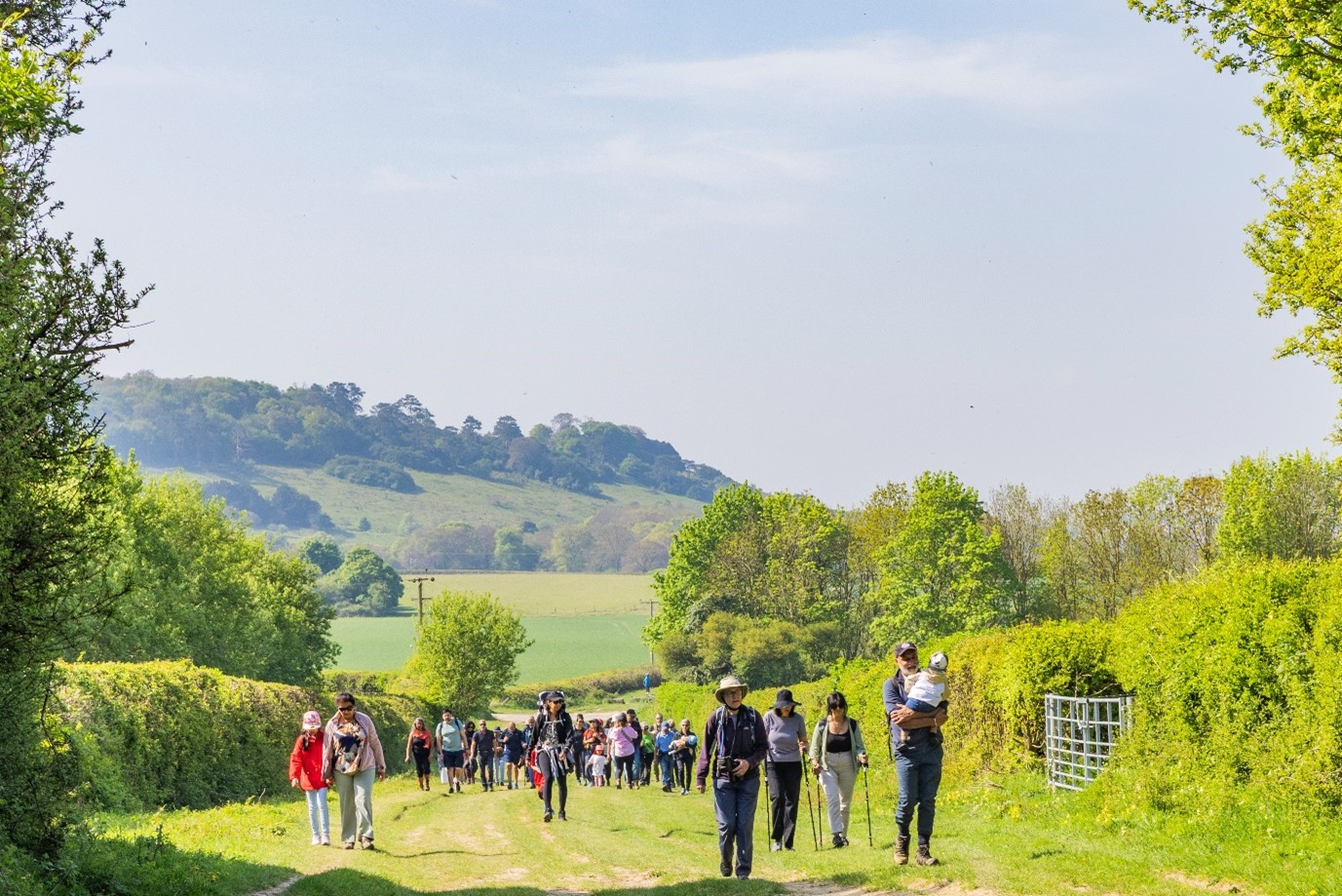 Aston Rowant National Nature Reserve & Kew Millennium Seed Bank: Sowing ...
