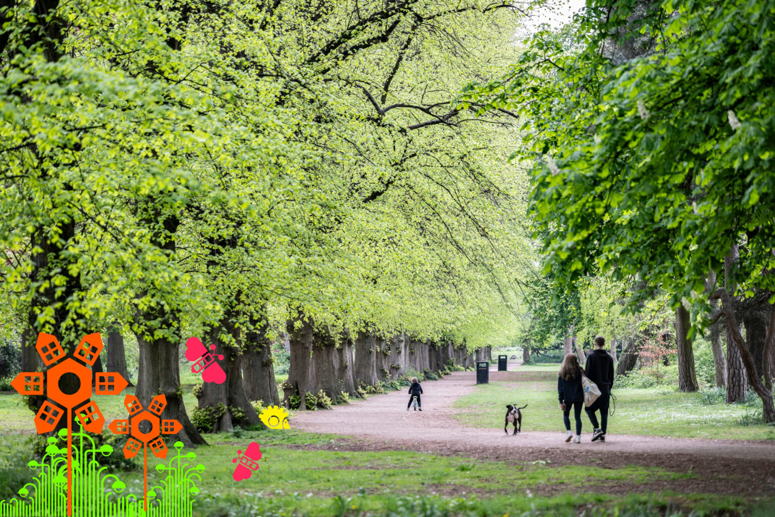 Nature Recovery Network – Natural England