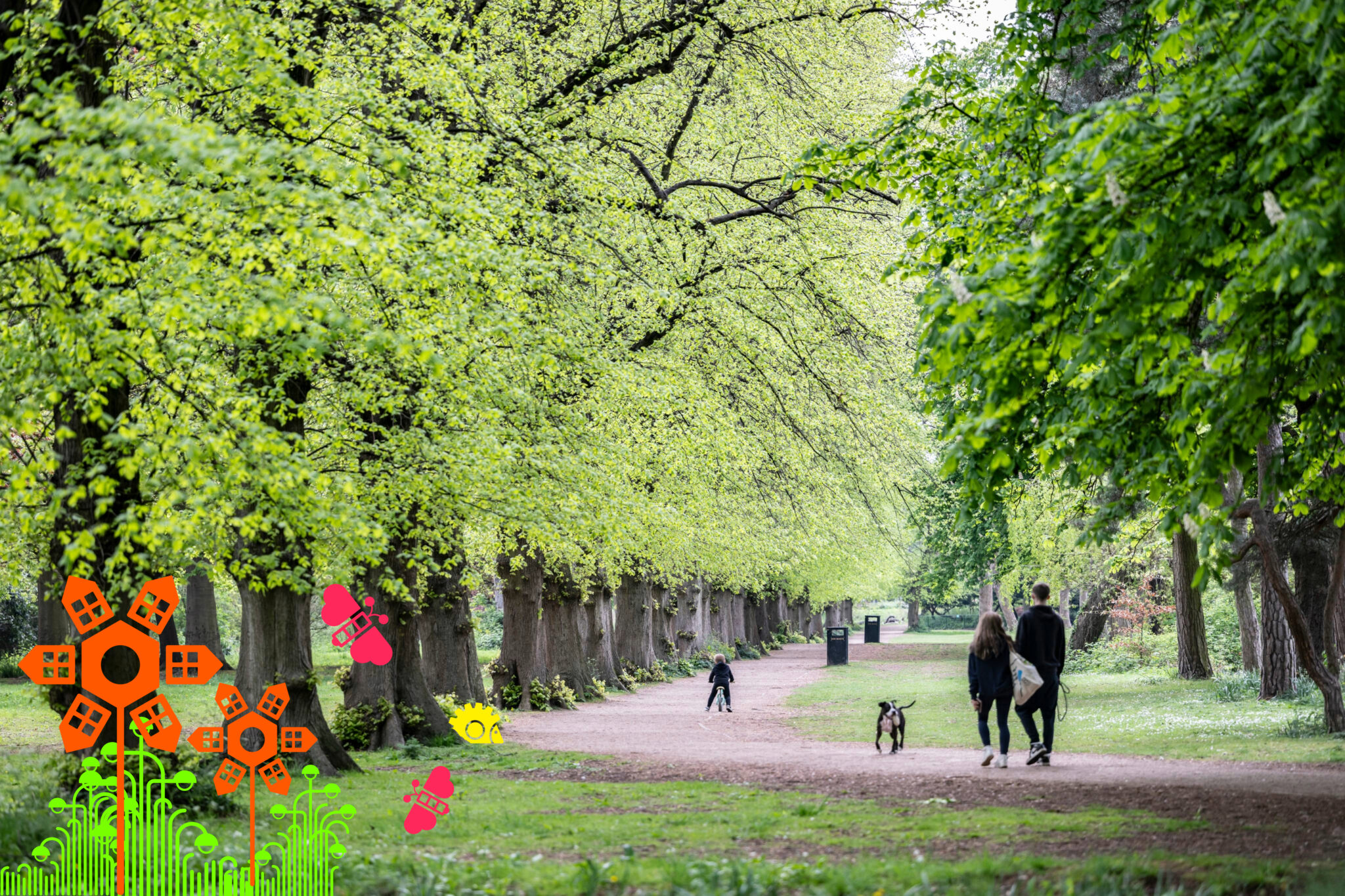 Nature Recovery Network – Natural England