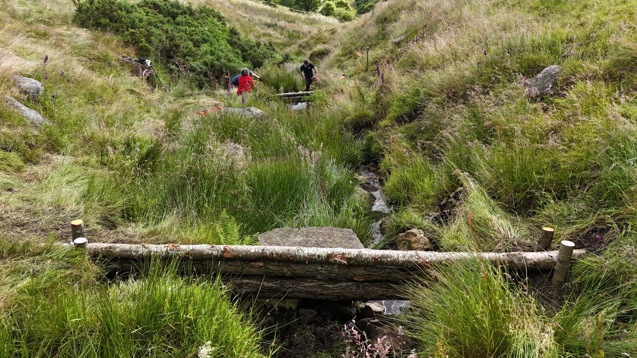 Farming and flooding: how agriculture is working alongside nature to ...