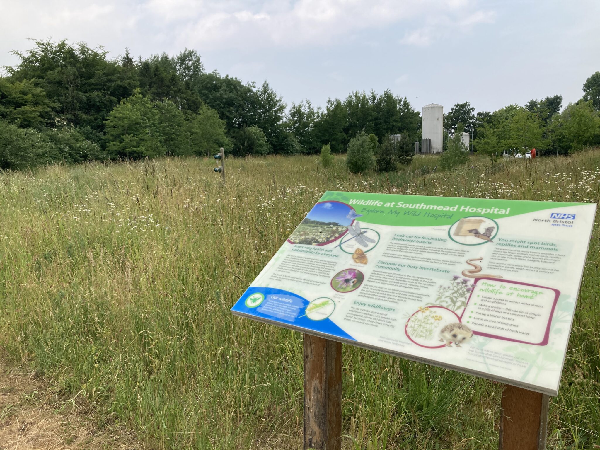 Nature Recovery Network – Natural England