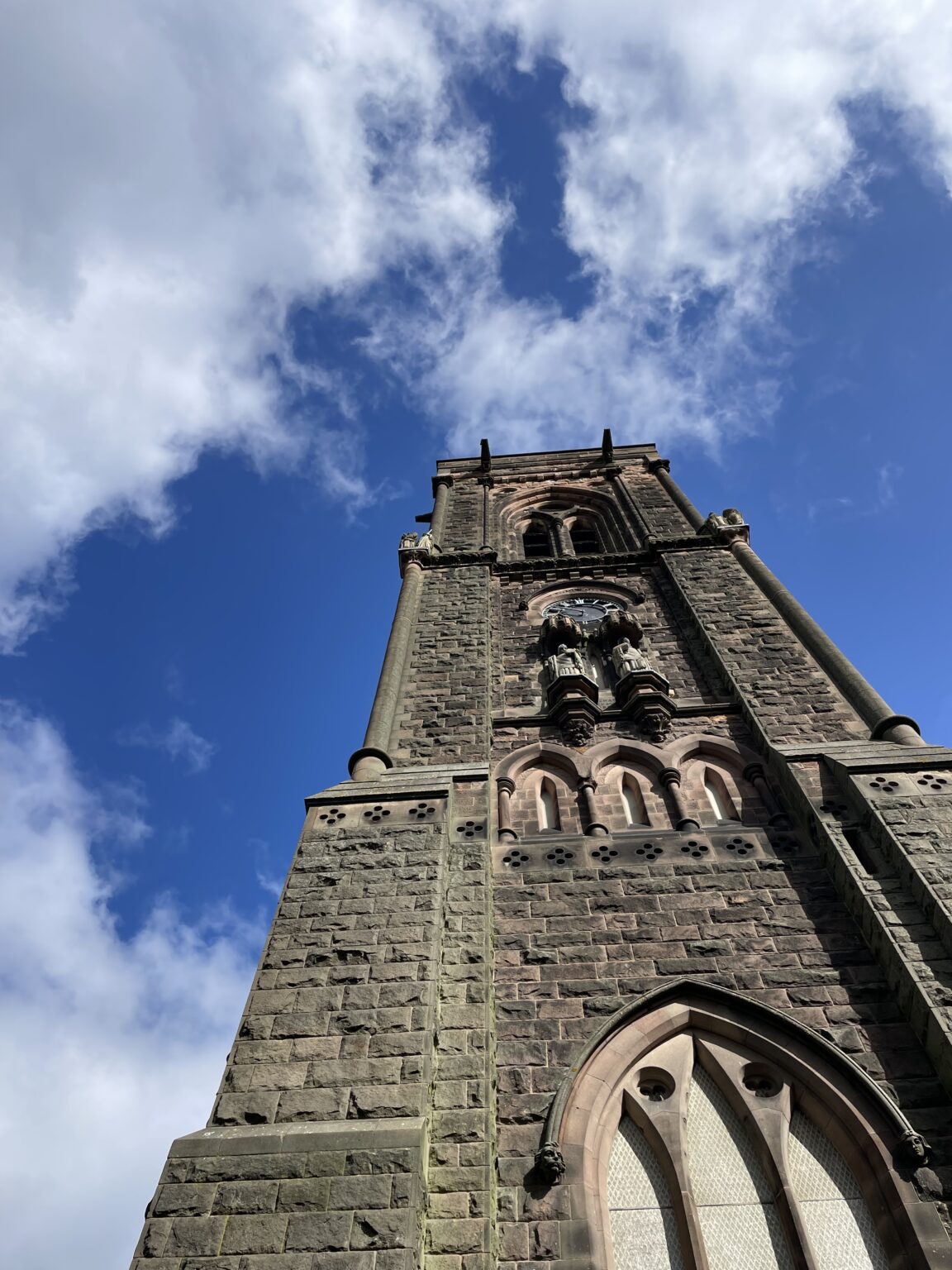 Ringing in nature’s return: Derby celebrates swift migration with ...