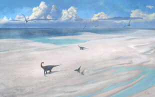 Unearthing the Past to Restore Our Future: The Role of Palaeontology in ...