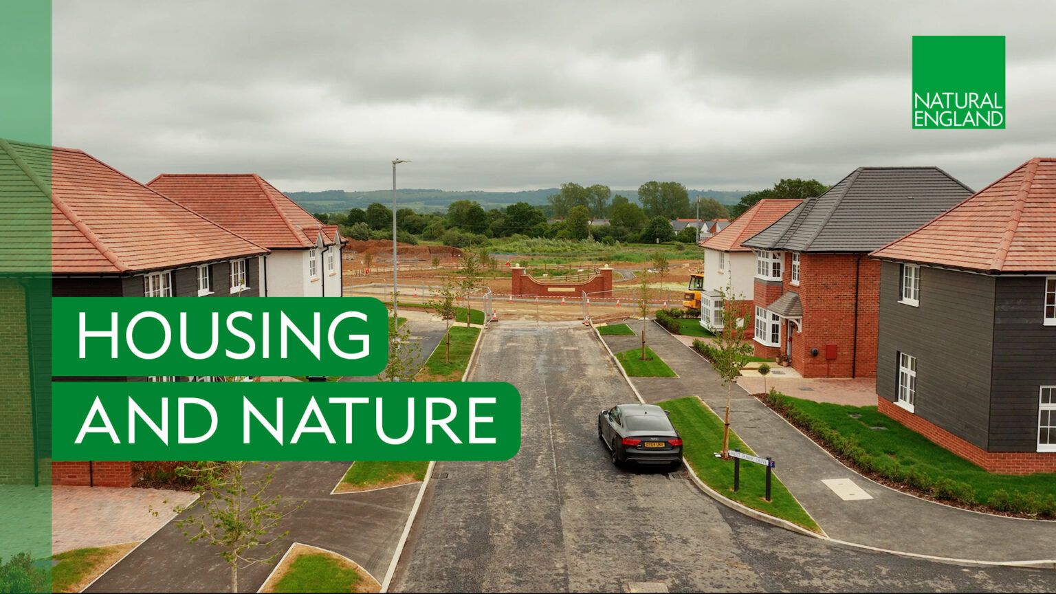 Development – Natural England