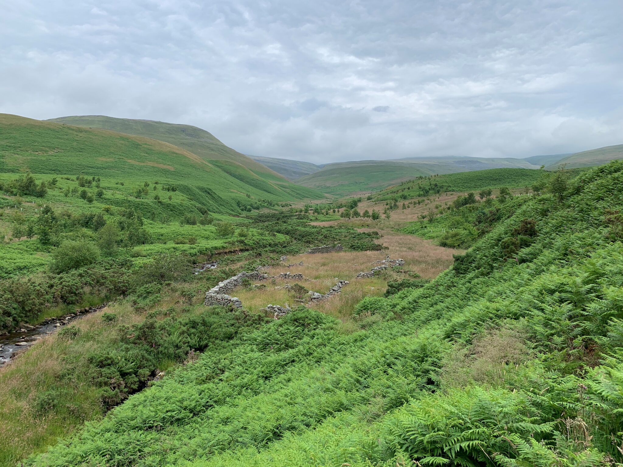 Nurturing Cumbria’s Hidden Gem: East of Eden Nature Recovery Project ...