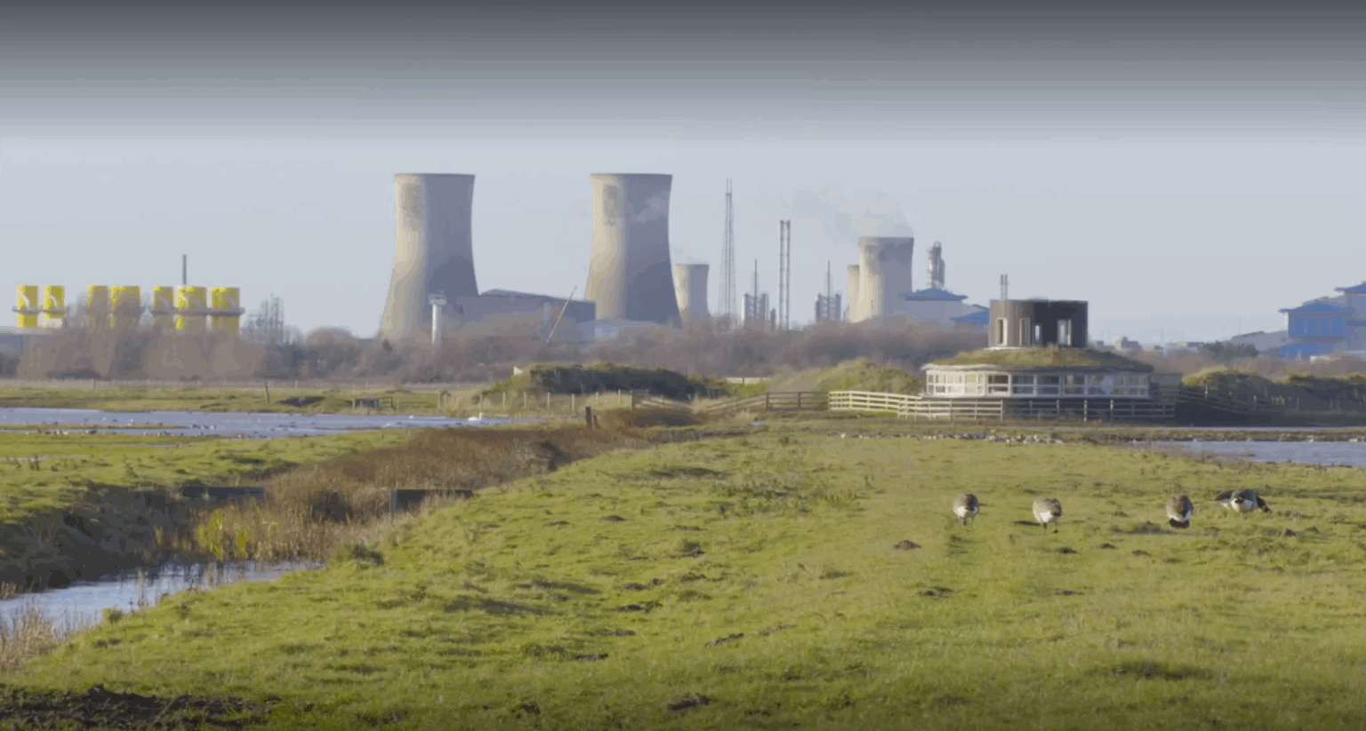 Thriving Together: Nature, People and Industry in the Tees Estuary ...