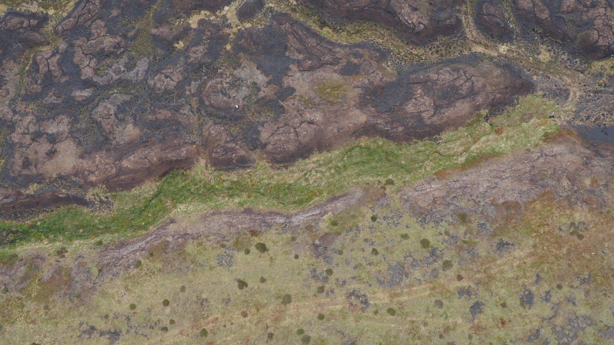 Biodiversity – Natural England