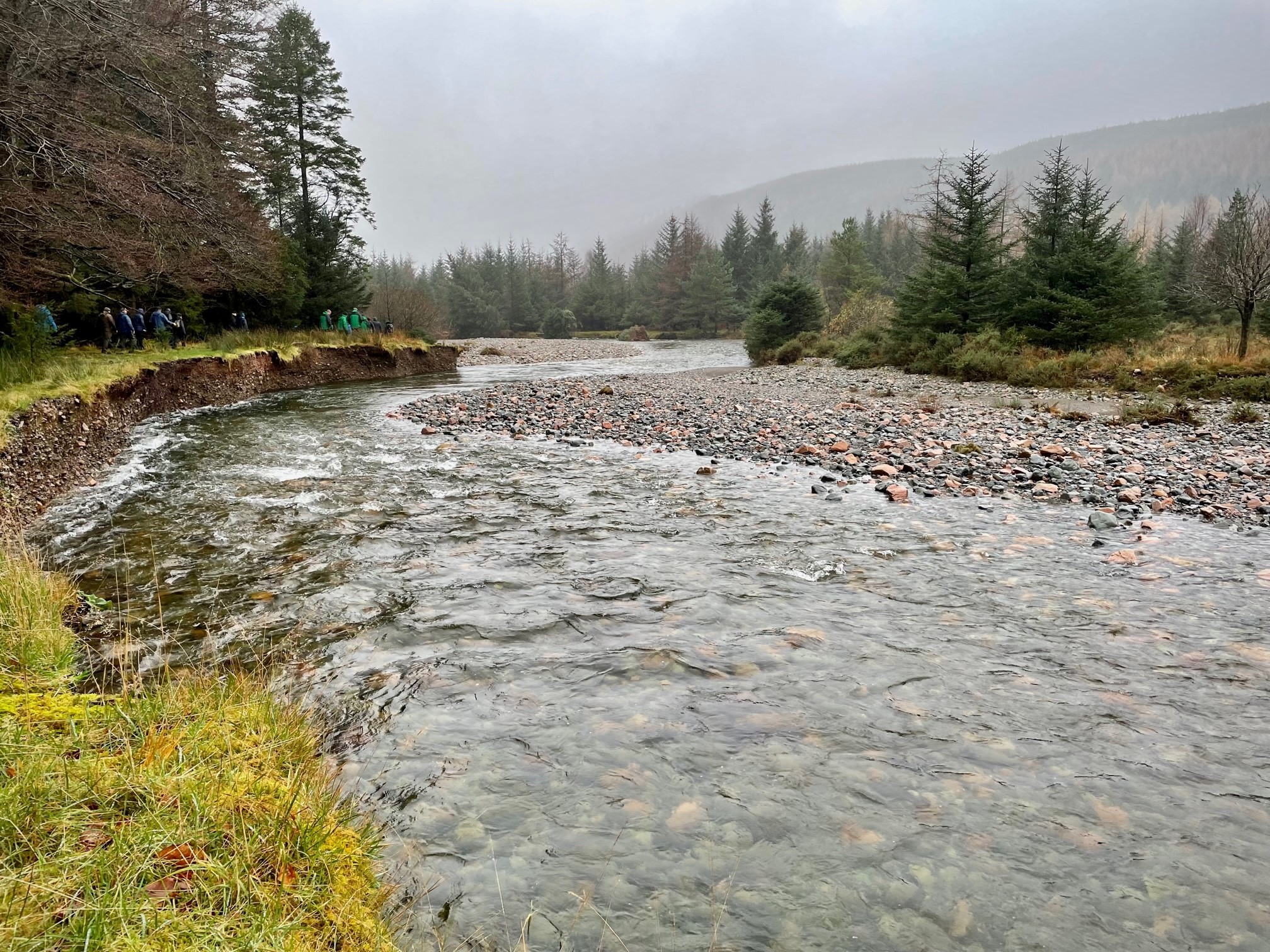 Reaching the global final – what a Thiess Riverprize nomination means ...