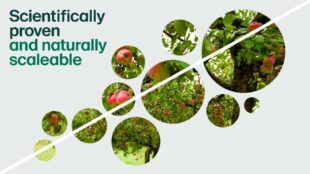 Nature – Natural England