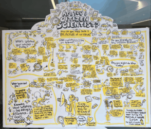 From local to national and back again: place-based support for citizen ...