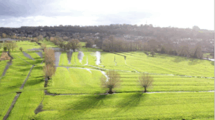 Rediscovering the value of water meadows – Natural England