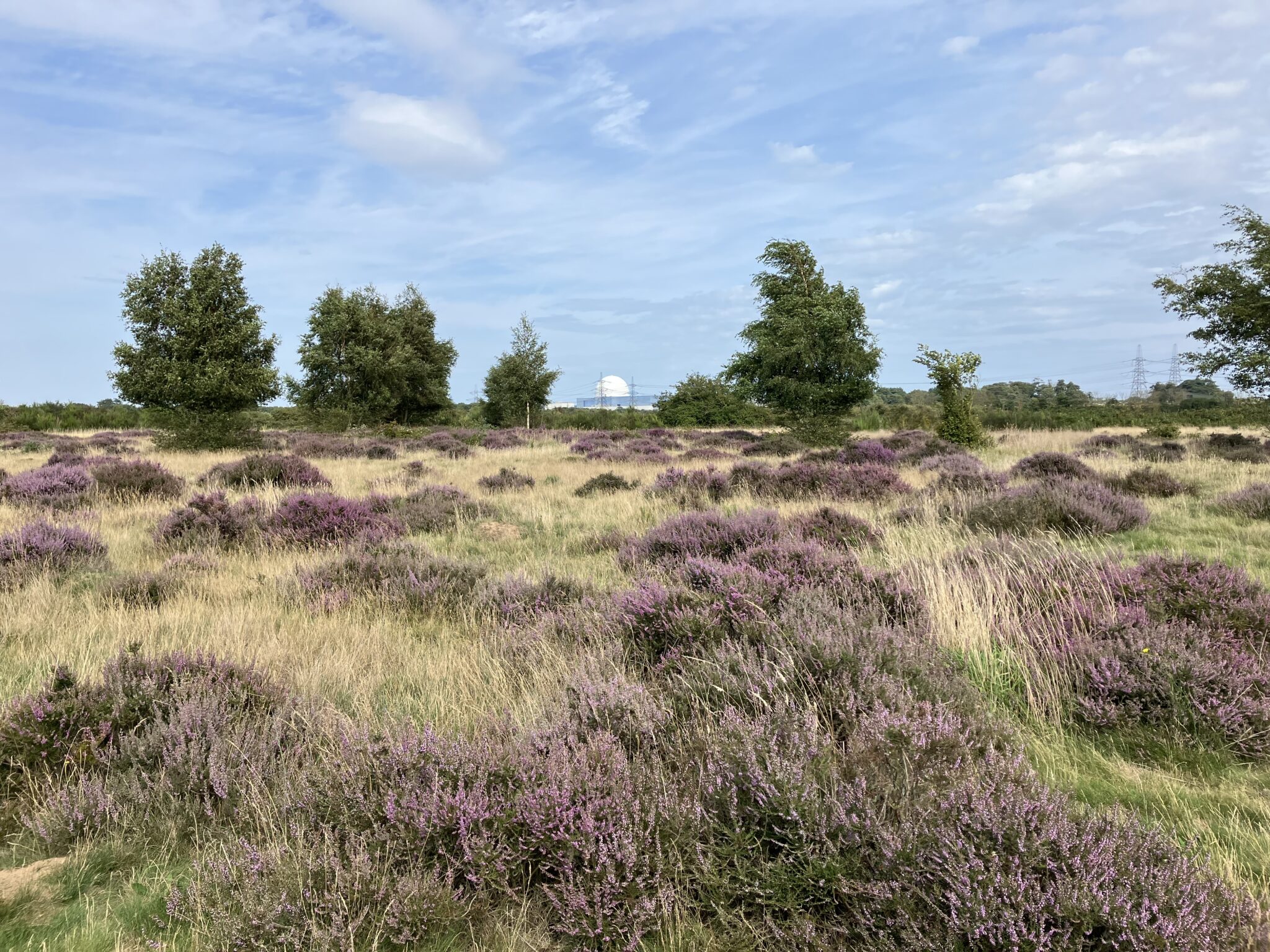 2025 – Natural England