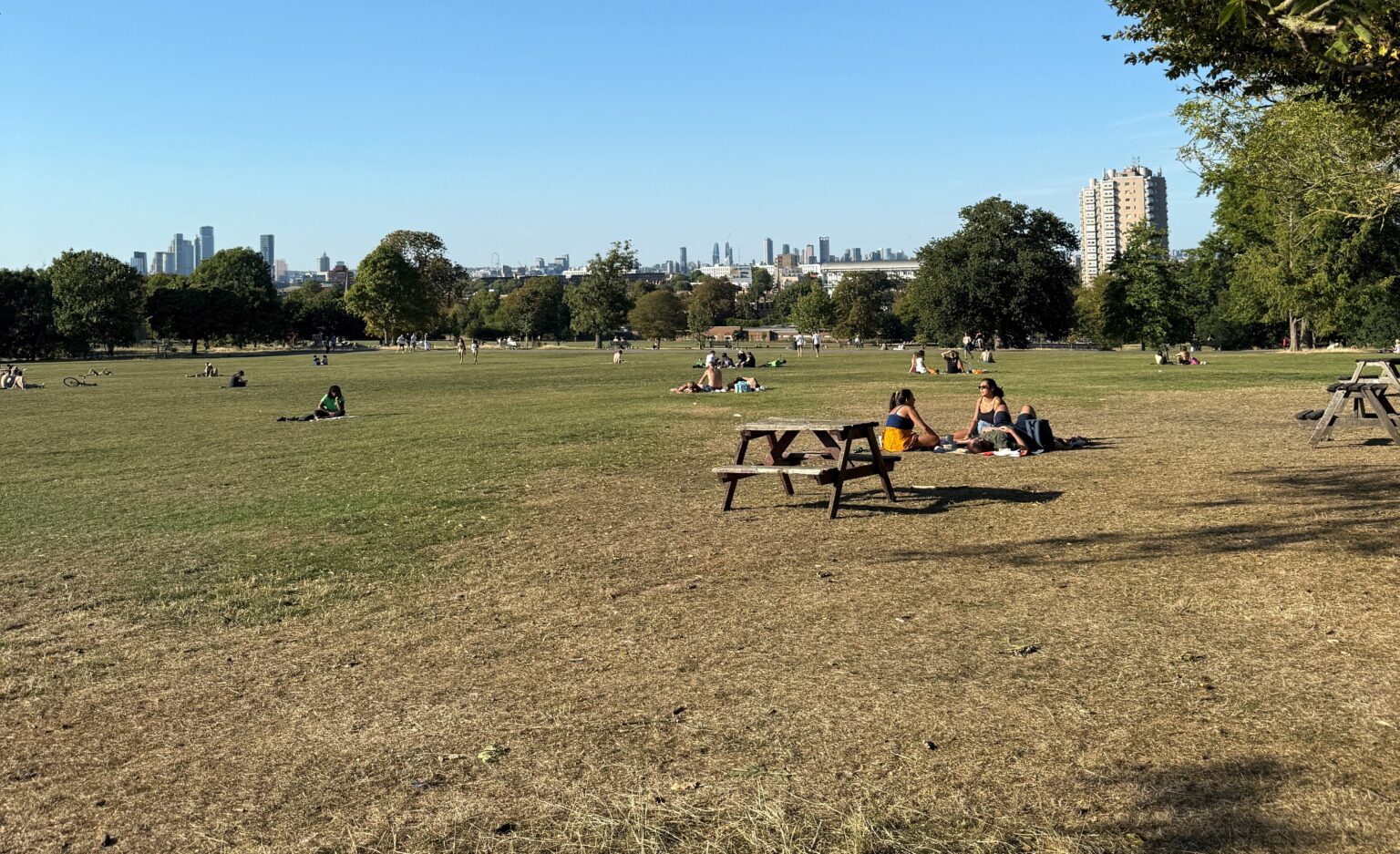 Why Nature Close to Home Matters: Evidence from the People and Nature ...