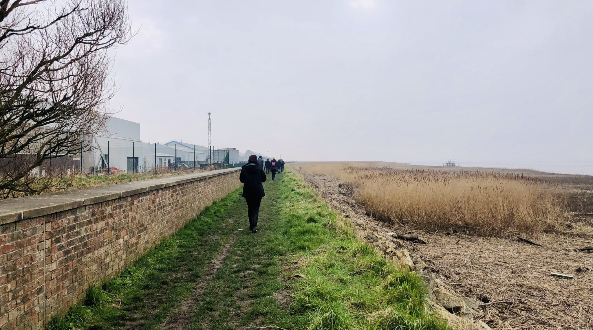 Natural England – News and updates from Natural England