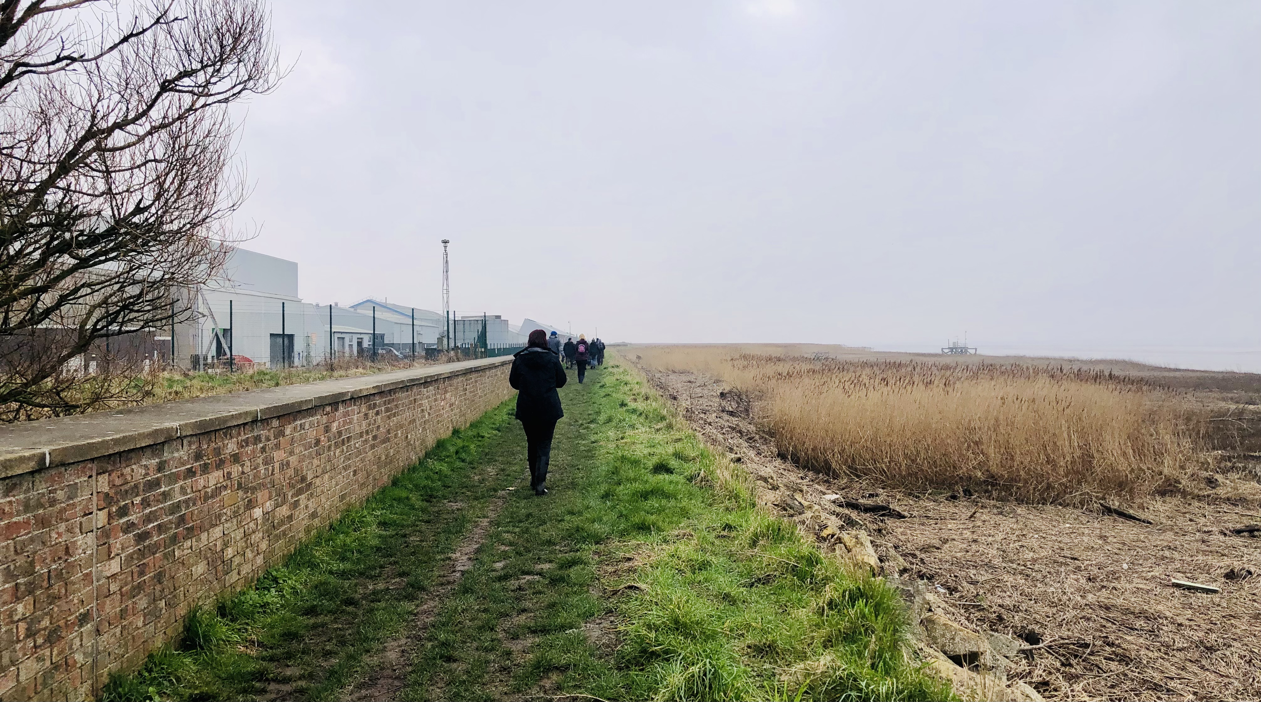 Balancing Nature and Development: The Humber Estuary Protected Site ...