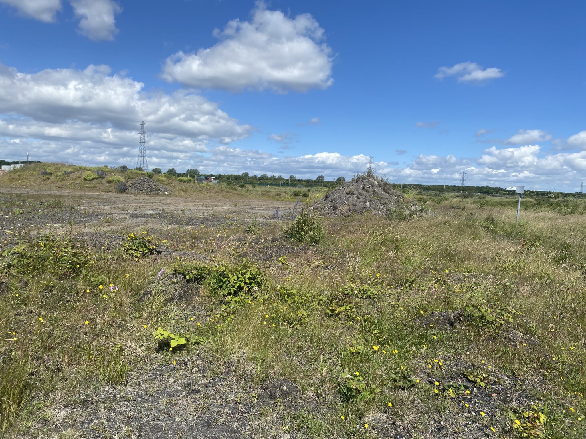 A Biodiversity Net Gain Solution for a High Value Brownfield Site ...