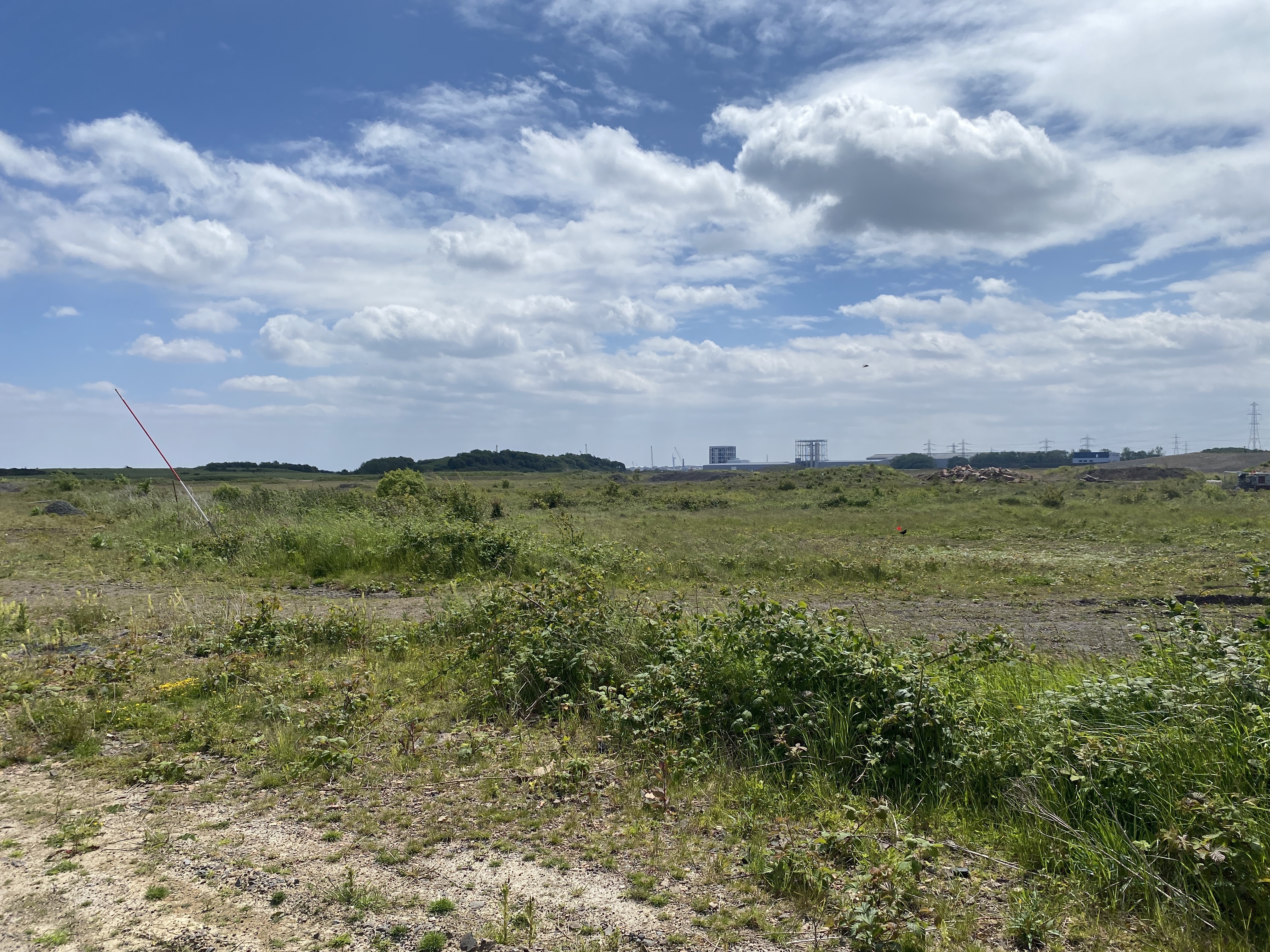 A Biodiversity Net Gain Solution for a High Value Brownfield Site ...