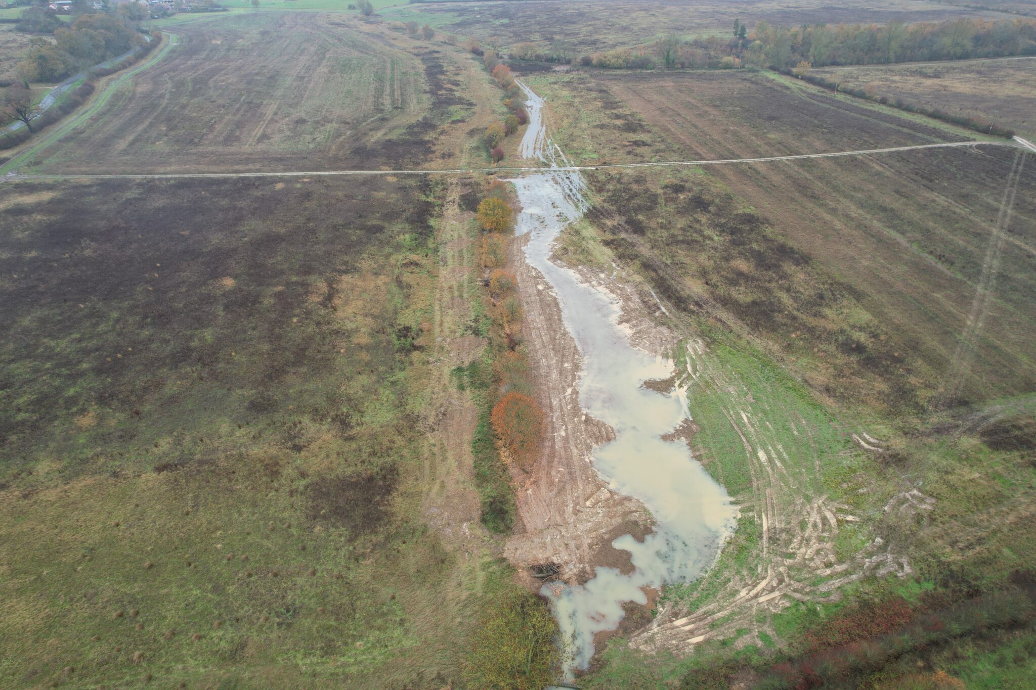 Guest blog: Using Biodiversity Net Gain to Support Dynamic Habitats ...