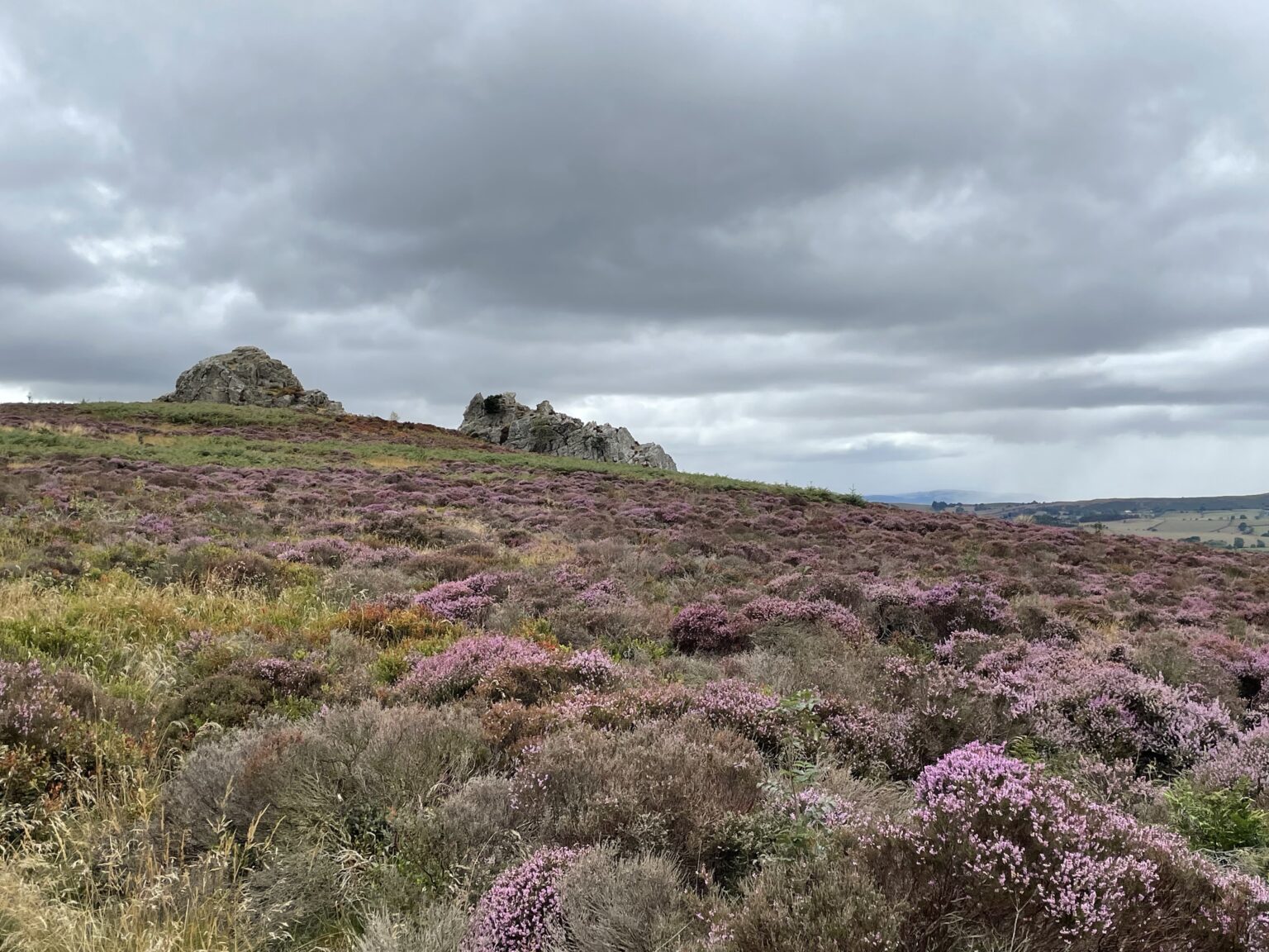 Landmark for Nature recovery receives the royal seal of approval ...