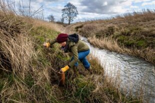 How Biodiversity Net Gain helps people and places thrive – Natural England
