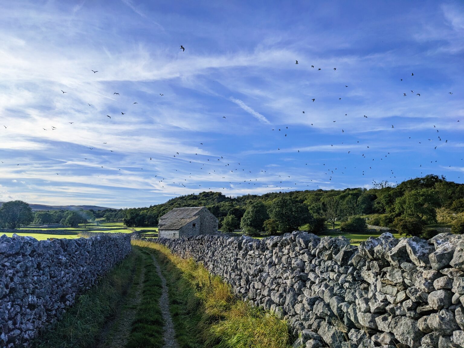 Healthy Land, Secure Future: A Land Use Framework for Nature, Climate ...