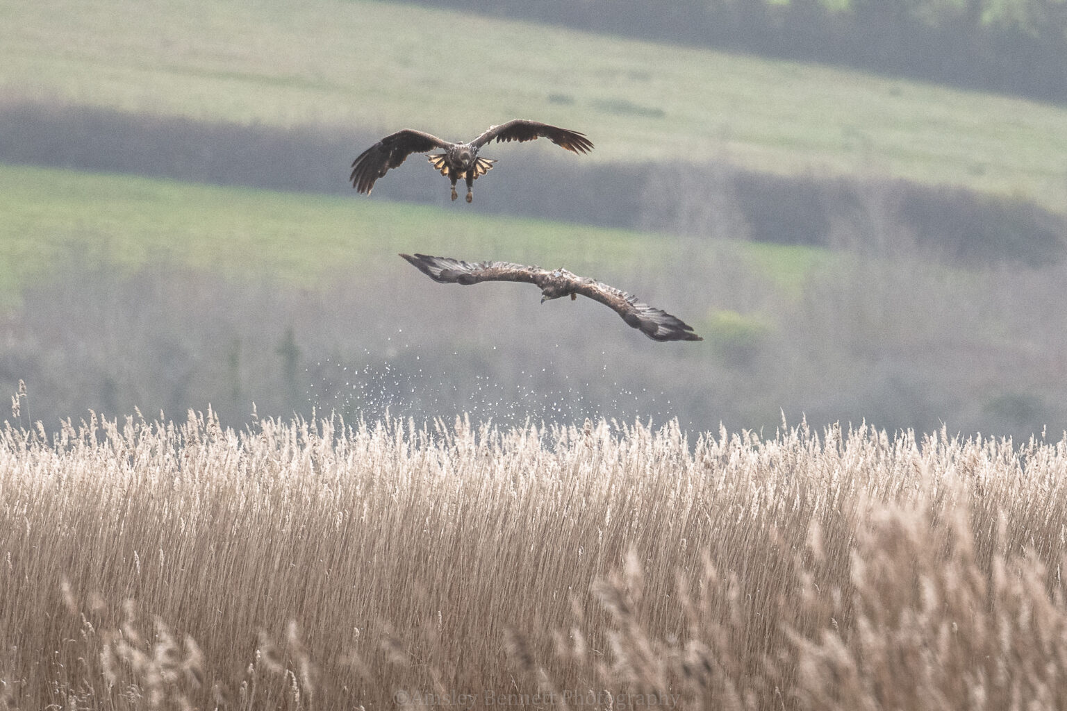 Natural England – News and updates from Natural England